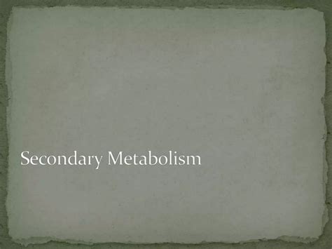 Secondary Metabolism Pptx