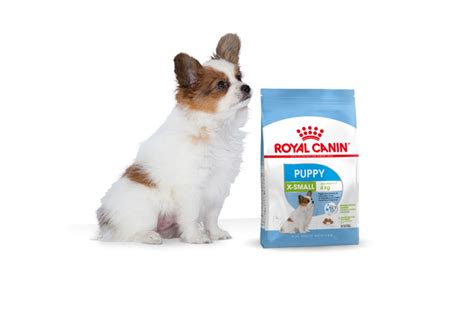 Royal Canin X-Small Puppy online kopen? → Dierencompleet.nl
