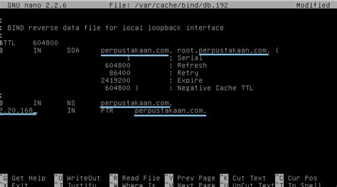 Konfigurasi Dns Server Pada Debian