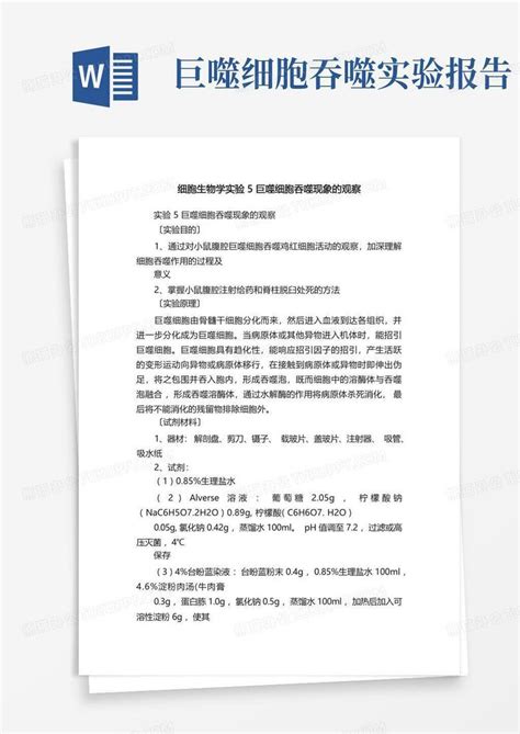 细胞生物学实验5巨噬细胞吞噬现象的观察word模板下载 编号lzawovea 熊猫办公