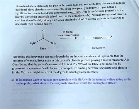 Solved If Isocyanate Were To React As An Electrophile With Hba With The Terminal Valine Acting