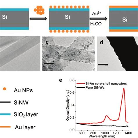 Synthesis And Optical Properties Of Si Au Core Shell Nanowires A Download Scientific Diagram