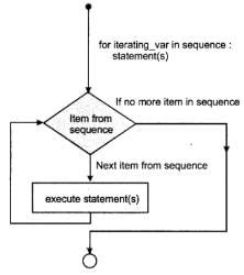 NCERT Solution Conditional And Looping Constructs Computer Science Python Class PDF