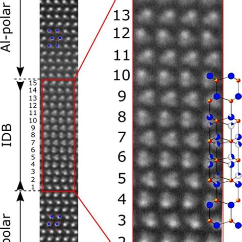 Schematic Representation Of Charge Compensation Within Inversion Domain Download Scientific