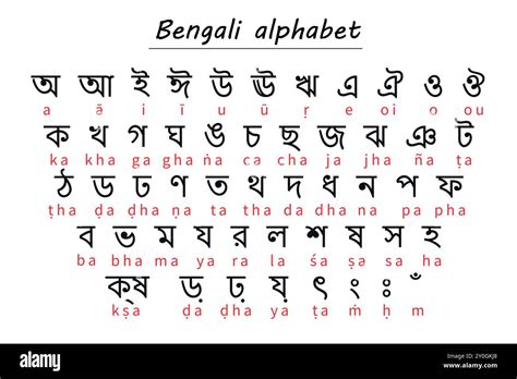 Bengali Alphabet Chart Featuring Characters With Romanized Transliteration Stock Vector Image
