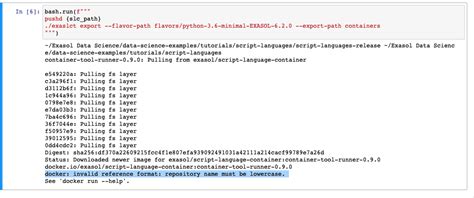 Error When Running Exaslct On A Path Containing Spaces · Issue 123