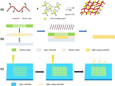 A Schematic Of Reaction For Hama Gel B Surface Microstructure