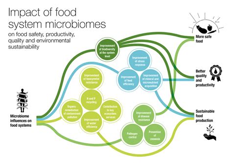 CIRCLES Microbiome Research For Healthy And Sustainable Food Systems