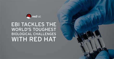 The European Bioinformatics Institute Embl Ebi Provides Essential Infrastructure To Help