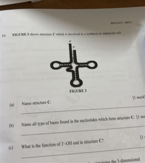 BIOLOOY 1 SBots 10 FIGURE 3 shows structure C | StudyX