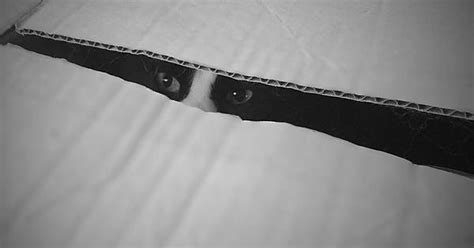 Insert Finger At Own Risk Album On Imgur