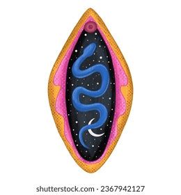 Snake Sex Royalty Free Images Stock Photos Pictures Shutterstock