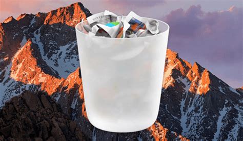 Recover Deleted Files From Trash Bin Mac Ptupros