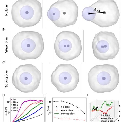 Nuclear Transport And Cell Migration A C Cell Migration Snapshots At
