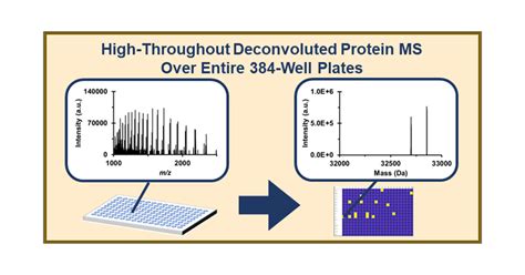 High Throughput Deconvolution Of Intact Protein Mass Spectra For The
