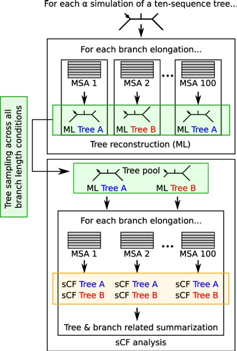 Overview Of Our Analysis Setup For Each Rate Heterogeneity Parameter
