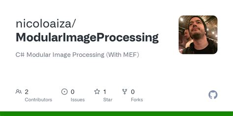 Github Nicoloaiza Modularimageprocessing C Modular Image Processing With Mef