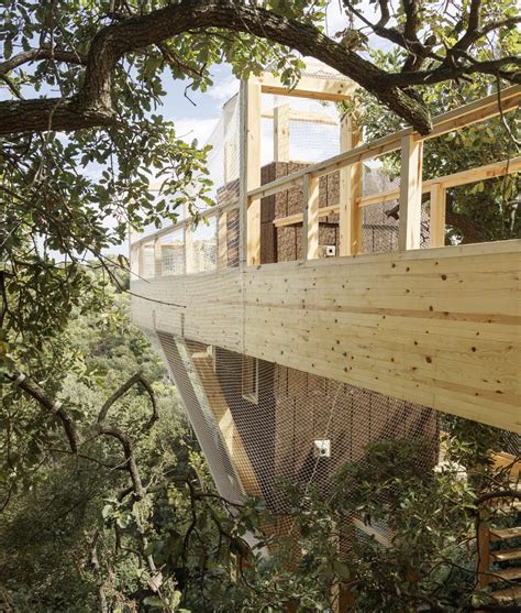 Flora Is A Mass Timber Research Pavilion In Barcelonas Forest Canopy 【autocad Design Pro