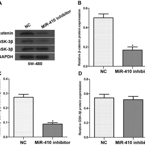 Effects Of Mir 126 On Wntβ Catenin Signaling Pathways A β Catenin