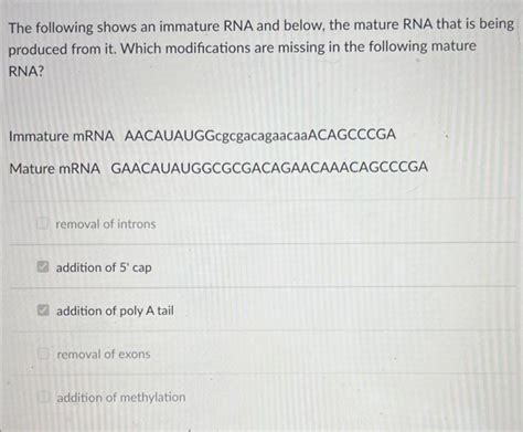 Solved The Following Shows An Immature Rna And Below The