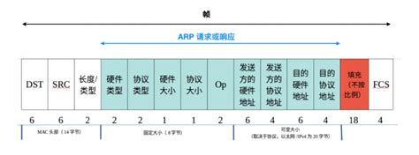 arp协议详解 csdn博客