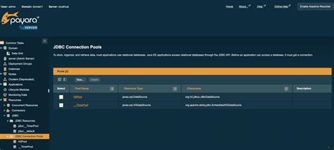 Using Postgresql With Payara Server