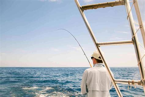 The Top Shimano Saltwater Fishing Reels For Big Game Fishing A