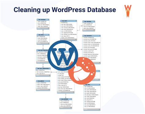 WordPress Database How To Clean It Up And Optimize It