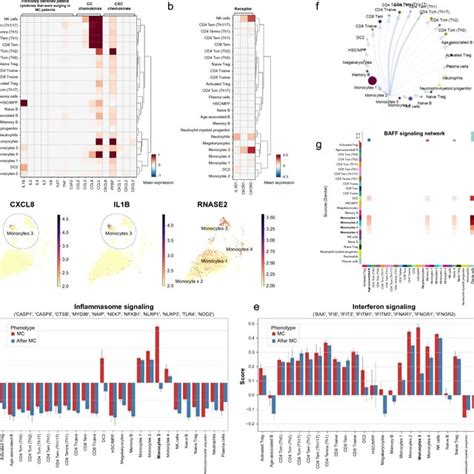 Single Cell Analysis Of Monocytes From Mc Pbmcs A The Distribution Of