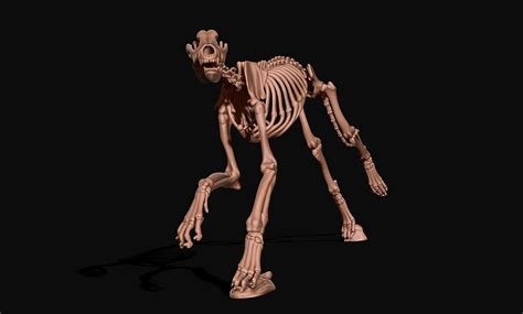 Great Dane Skelleton Dys Kit 3d Model 3d Printable Cgtrader