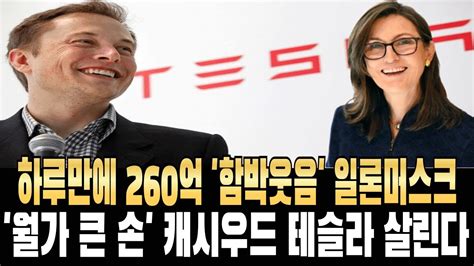 테슬라 전망 하루만에 260억 투자 월가 큰 손 캐시우드 테슬라 살리러 왔다 Youtube