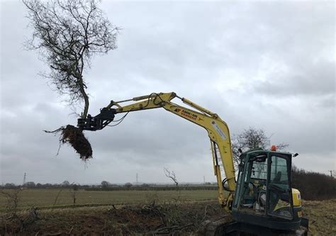 Tree Shear Mark Vigrass Ltd