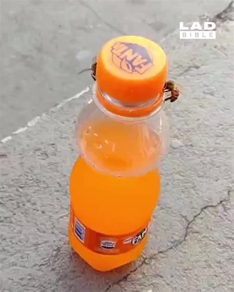 Raja Sekar On Linkedin Teamwork