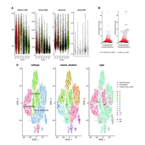 single cell quality control and dimension reduction clustering in