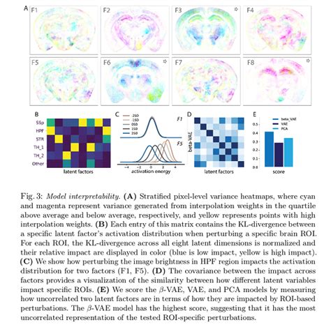 A Generative Modeling Approach For Interpreting Population Level