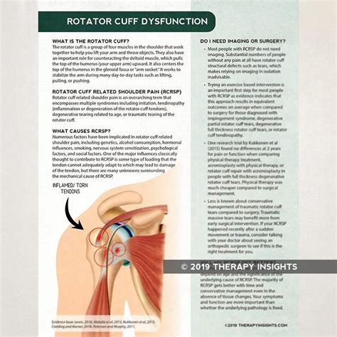 Rotator Cuff Dysfunction Adult And Pediatric Printable Resources For
