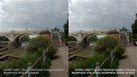 Sharpness Photography Definition At Jason Liller Blog