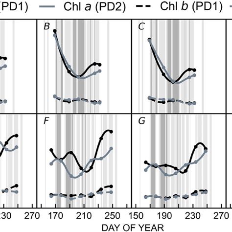 The Extracted Leaf Chlorophyll A And B Content µg Cm 2 Average N