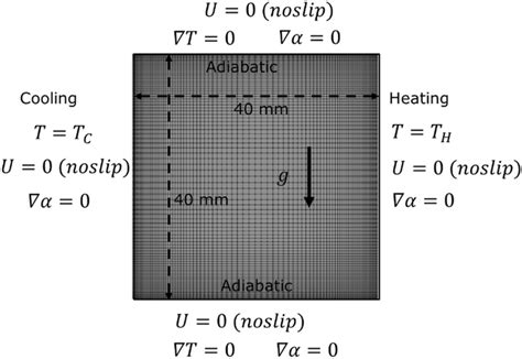 Geometric Configuration And Boundary Conditions Download Scientific