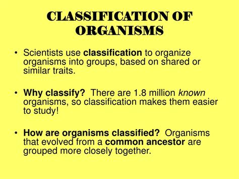 Why Do We Classify Organisms Into Kingdoms At Ron Gerald Blog