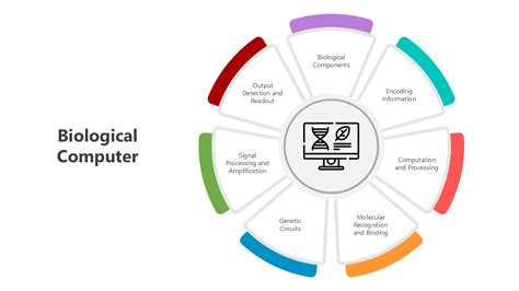 Explore This Biological Computer PowerPoint Presentation