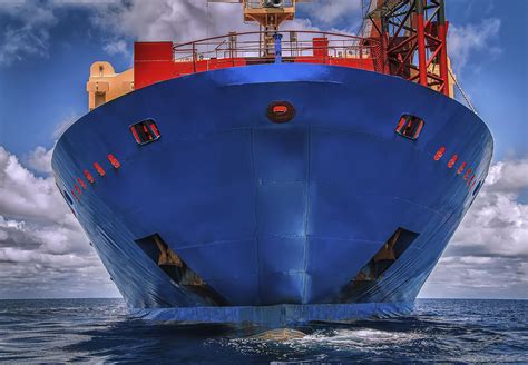 Welcome To Tamarins Asia