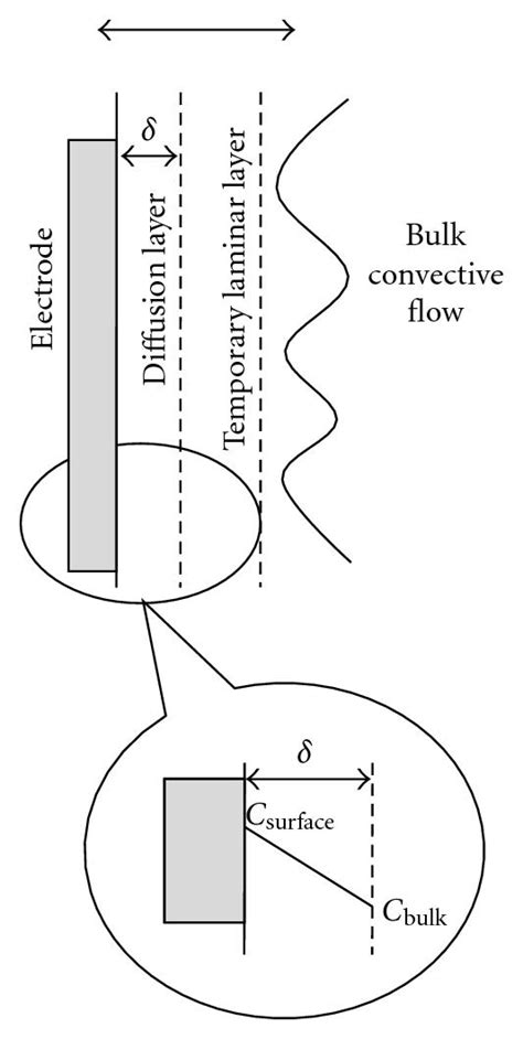 Schematic Representation Of The Diffusion And Boundary Layers At The Download Scientific