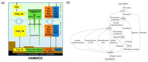 Bg Oceanic Co2 Outgassing And Biological Production Hotspots Induced By Pre Industrial River