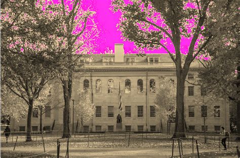 Pset4 Less Filter Sepia In The Output Image The White Parts Are