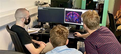 Iconeus Software Aids Development Of Fus Driven Brain Machine Interfaces Iconeus