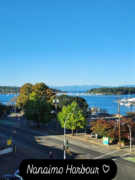 Shar Wilson Gitxsan Artist