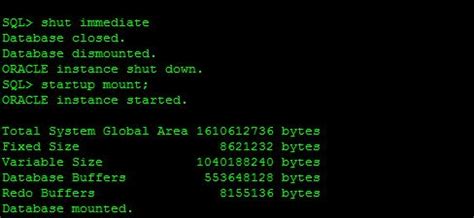 Oracle C Step By Step Configure Snapshot Standby Database Oracledbwr