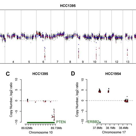 Copy Number Estimation Using Targeted Sequencing Data A Whole Genome Download Scientific