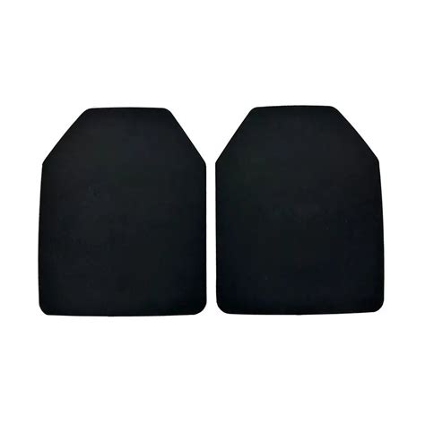 Silicon Carbide Back Insert Panel Sicpe Plate Carrier Plate For